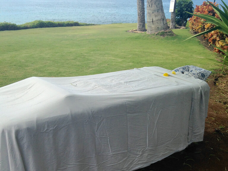 galleries-business visits - Massage Maui Style